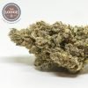 Member Berry Strain Review - The Lodge Cannabis Denver