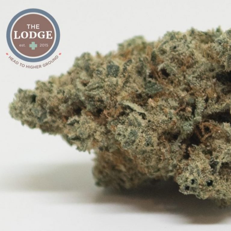 Chocolate OG Strain Review - The Lodge Cannabis Denver Chocolate OG Strain Review - The Lodge Cannabis Denver