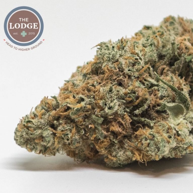 Purple Haze Strain Review - The Lodge Cannabis Denver