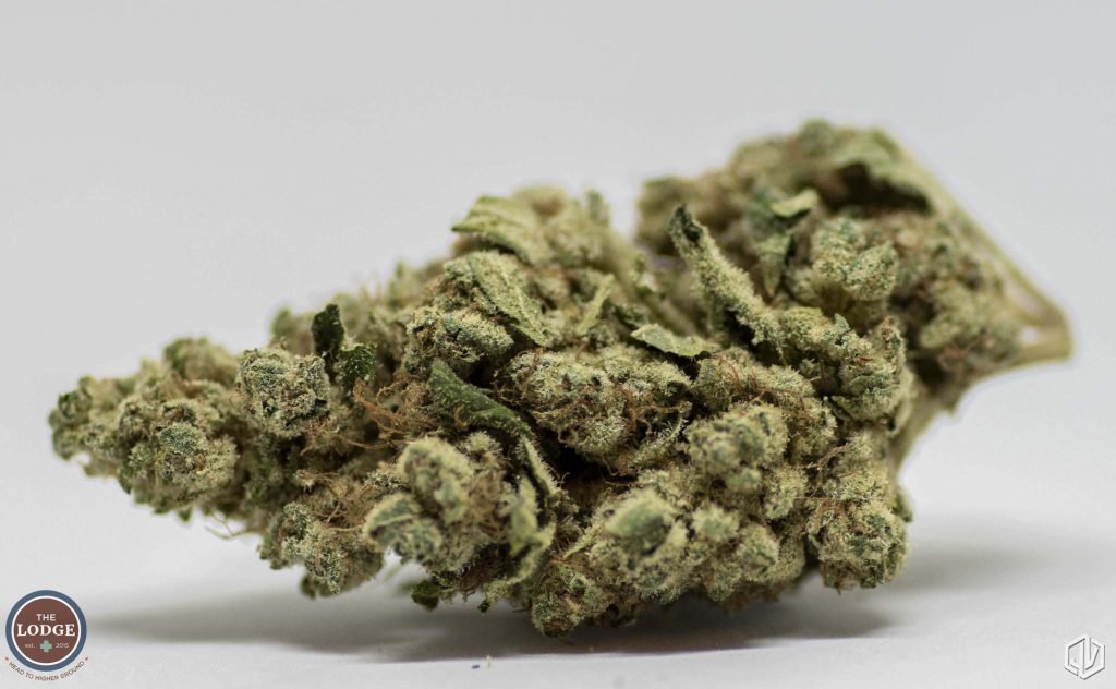 East Coast Sour Diesel Strain Review - The Lodge Cannabis Denver