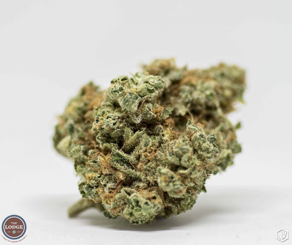 Jack Flash Strain Review - The Lodge Cannabis Denver