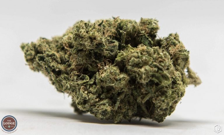 OG Kush Strain Review - The Lodge Cannabis Denver