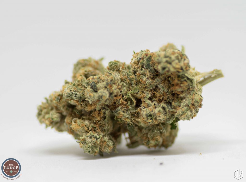 Recon OG Strain Review - The Lodge Cannabis Denver