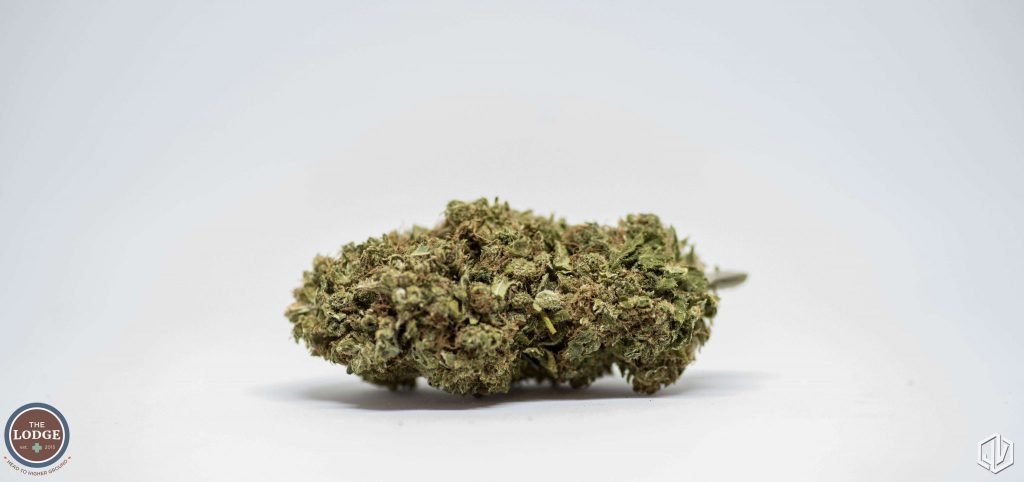 Sour Tsunami Strain Review - The Lodge Cannabis Denver