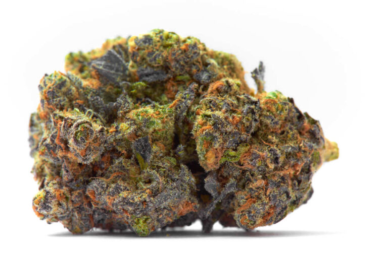10 Most Exotic Weed Strains 2022- The Lodge Cannabis