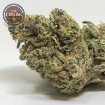 8 Strongest Indica Strains 2021 - The Lodge Cannabis