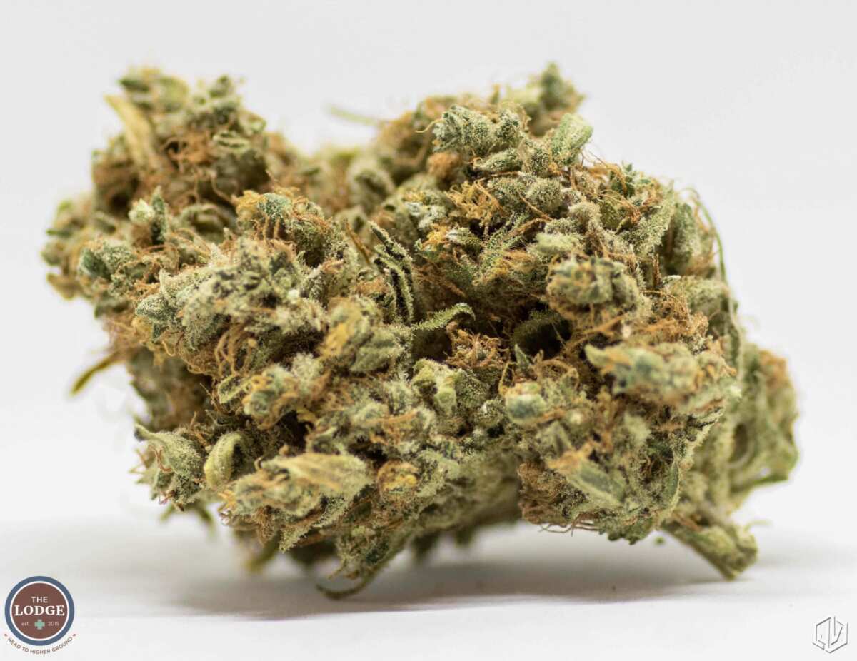 Loudest Smelling Strains: gassy, diesel, skunky, earthy weed strains