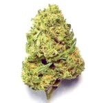 8 Strongest Indica Strains 2021 - The Lodge Cannabis