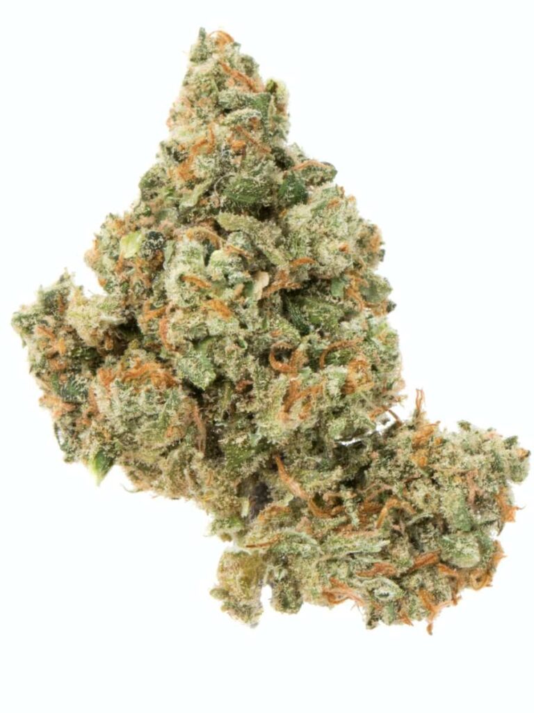 Jack Herer Strain Review - The Lodge Cannabis Denver