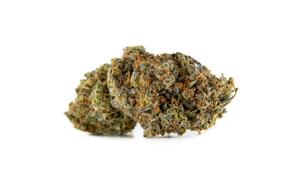 Mendo Breath Strain Review - The Lodge Cannabis Denver