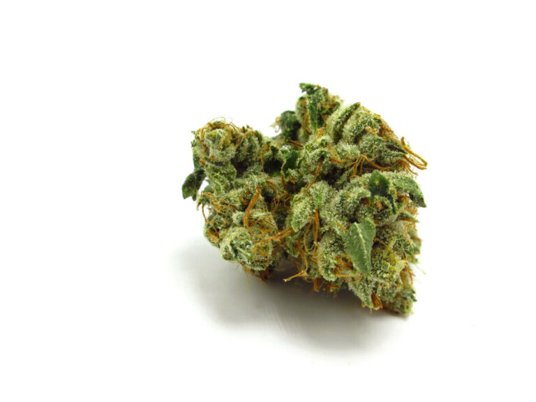 SFV OG Strain Review - The Lodge Cannabis Denver