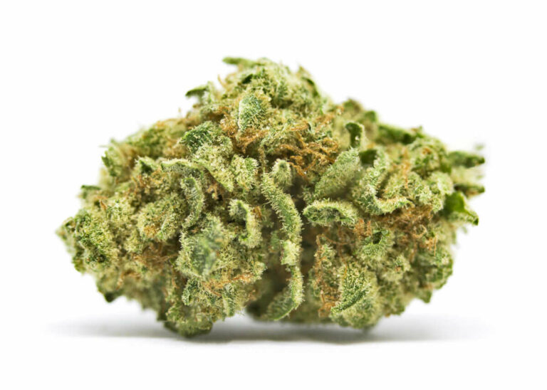Stardawg Cannabis Strain Review - The Lodge Cannabis Denver