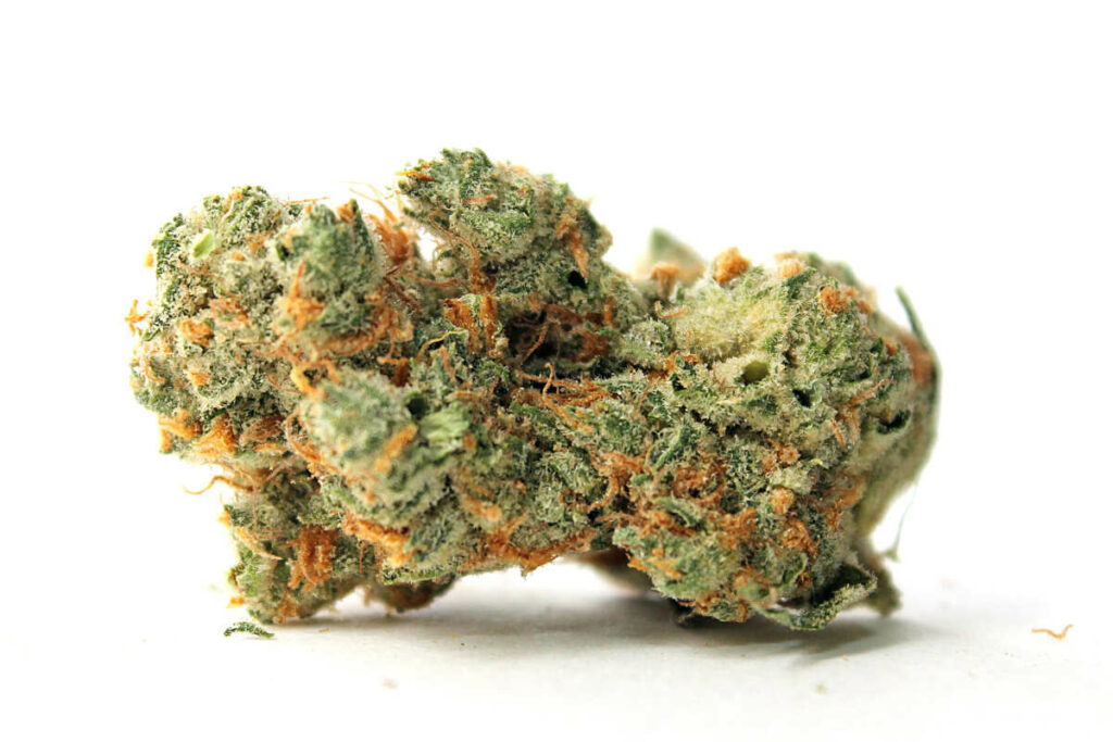 Platinum OG Strain Review - The Lodge Cannabis Denver