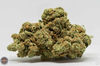 Top 20 Best Weed Strains Most Popular in Colorado 2022