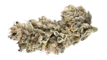 Top 10 Fruity Weed Strains - The Lodge Cannabis