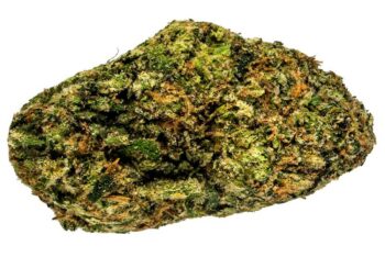 10 Best Tasting Weed Strains - The Lodge Cannabis