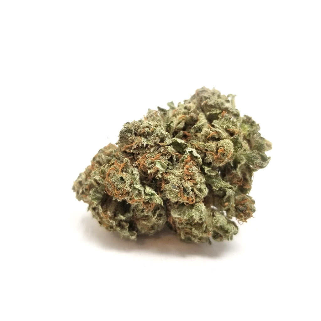 WiFi OG Strain Review - The Lodge Cannabis Denver