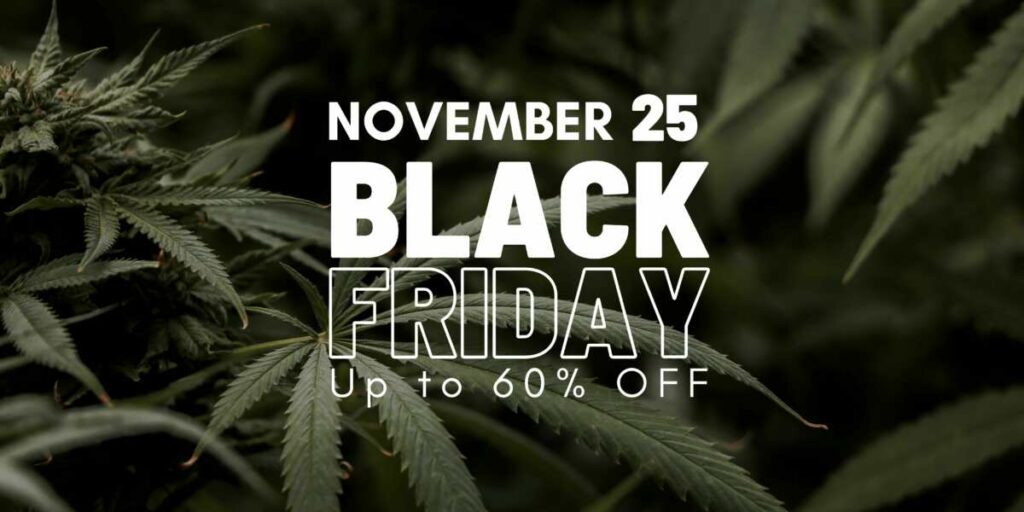 2022 Black Friday Weed Deals in Denver at The Lodge Dispensaries