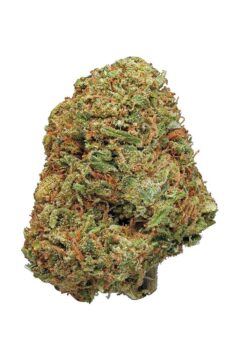 Loudest Smelling Strains: gassy, diesel, skunky, earthy weed strains
