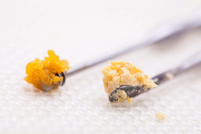 Live Resin vs Live Rosin Concentrates: What's the Difference?
