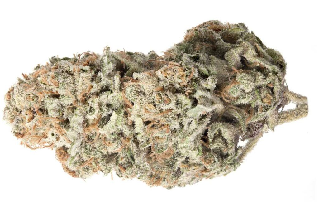 Platinum Bubba Kush Strain Review - The Lodge Cannabis Denver