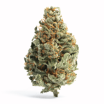 8 Best Diesel Weed Strains - The Lodge Cannabis