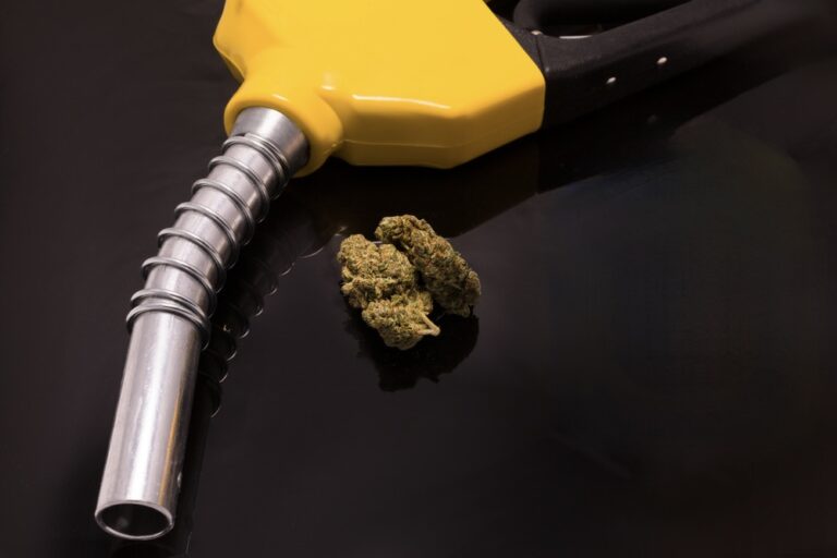 8 Best Diesel Weed Strains - The Lodge Cannabis