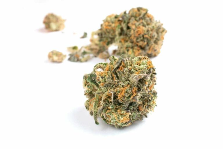 Lava Cake Strain Review The Lodge Cannabis Denver