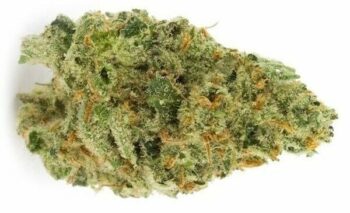 10 Best Lemon Weed Strains - The Lodge Cannabis
